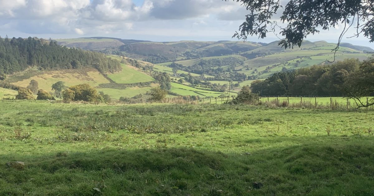 Llanarmon Dyffryn-Ceiriog to Pontricket Circular - Ramblers